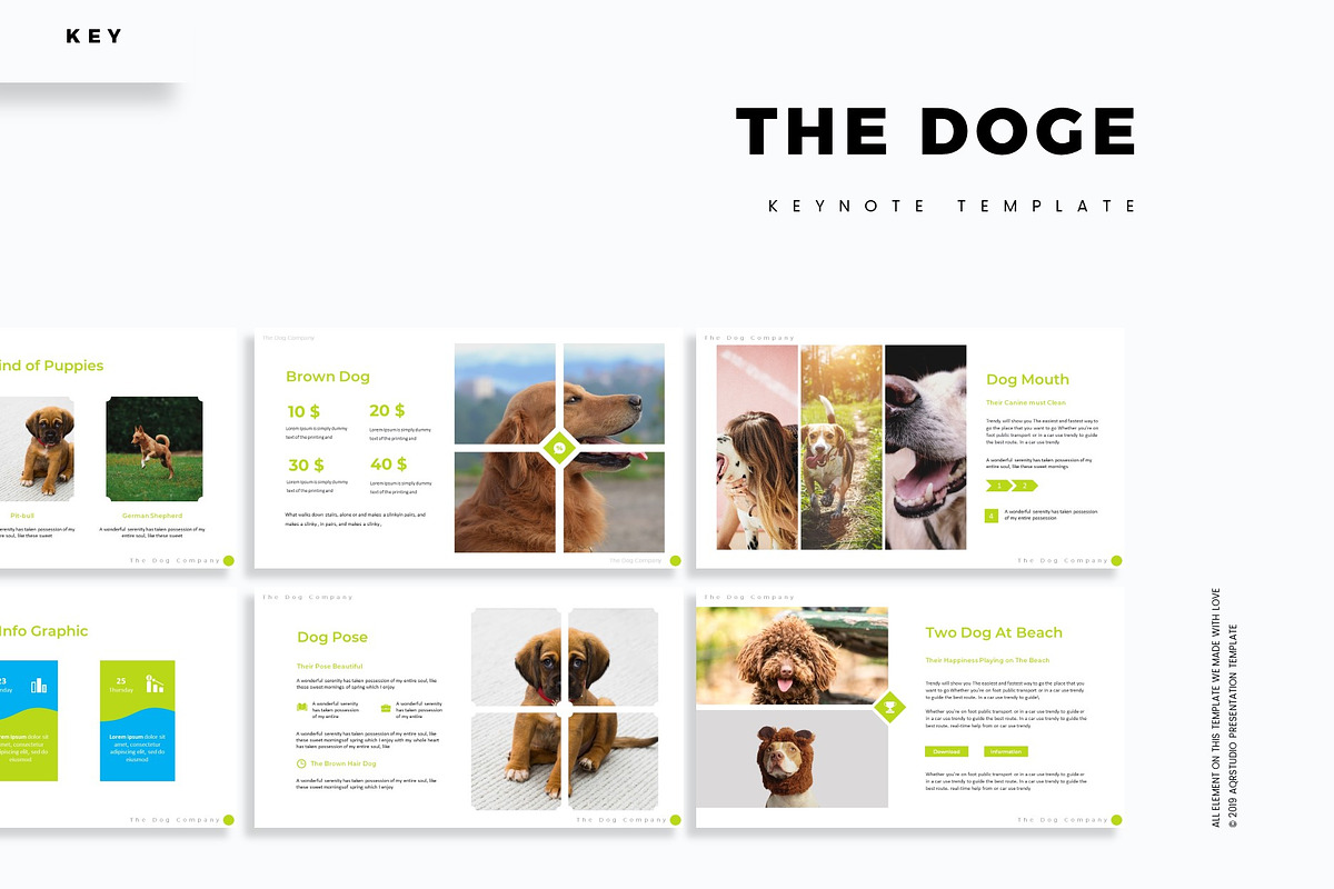 The Doge - Keynote Template, a Presentation Template by AQR Studio