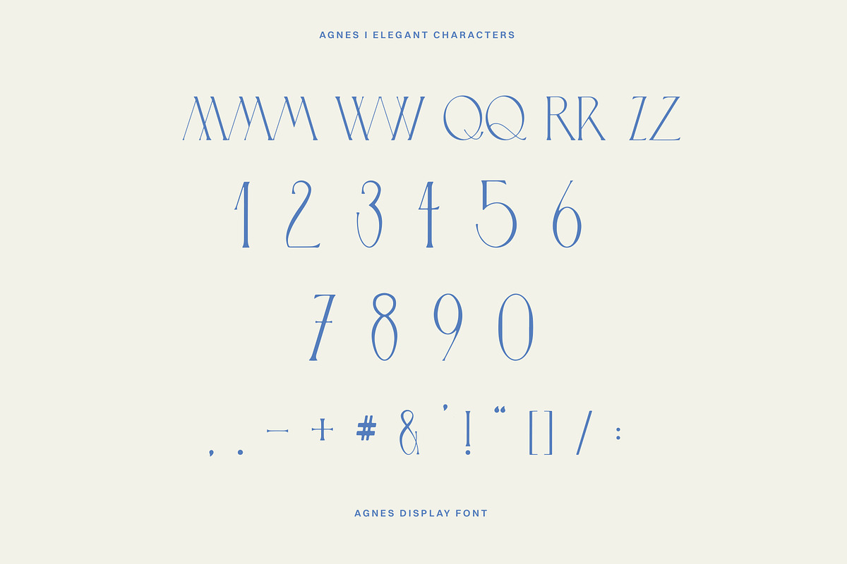 Agnes Modern Display Font, a Serif Font by Laras Wonderland | agne font ...