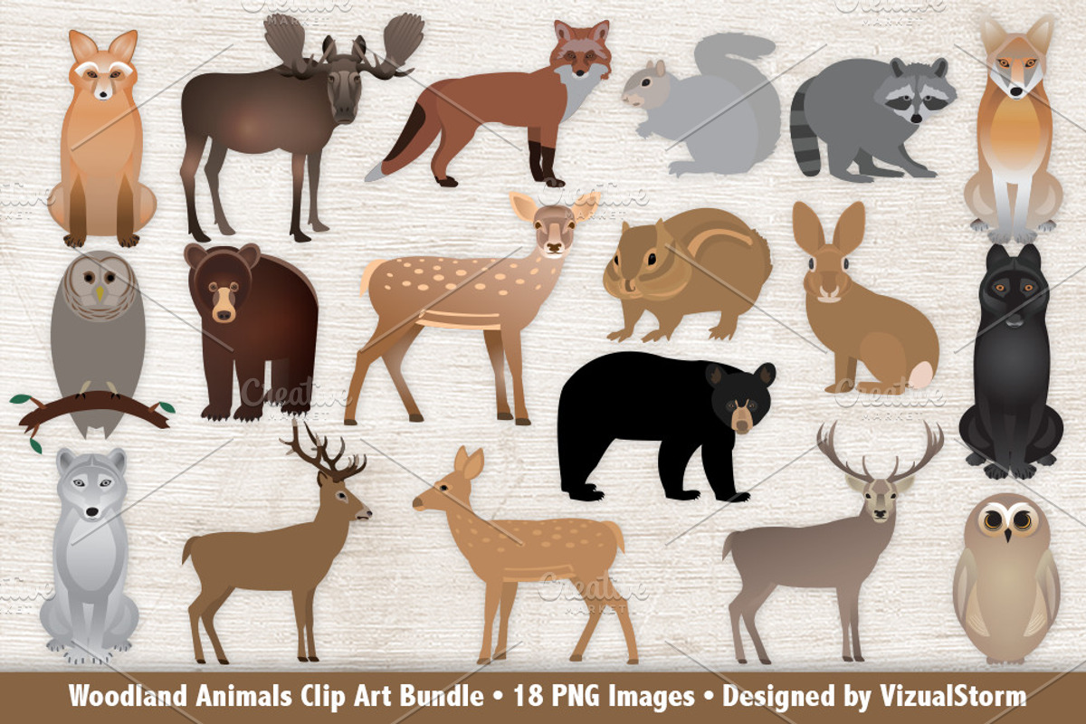 Woodland Animals Clip Art Bundle, an Animal Illustration by VizualStorm