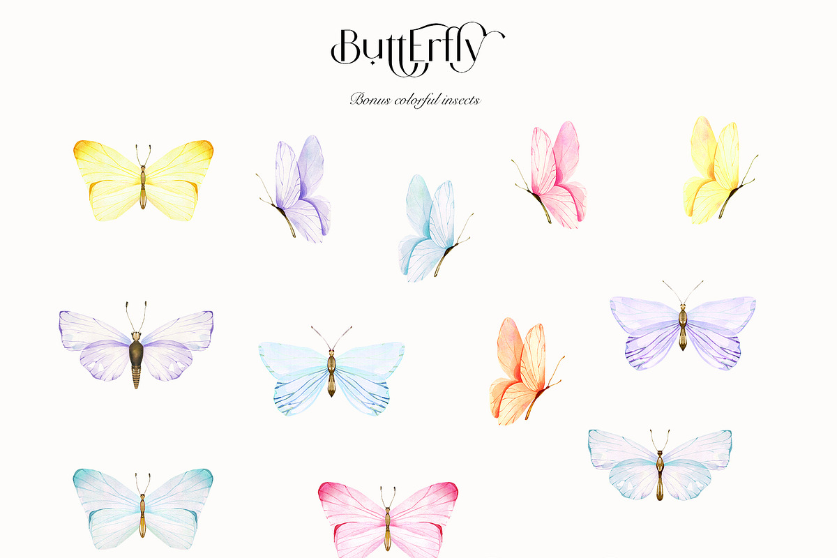 Watercolor Butterfly collection