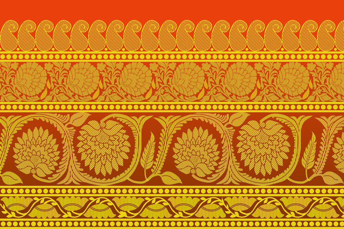 beautiful Sari vector