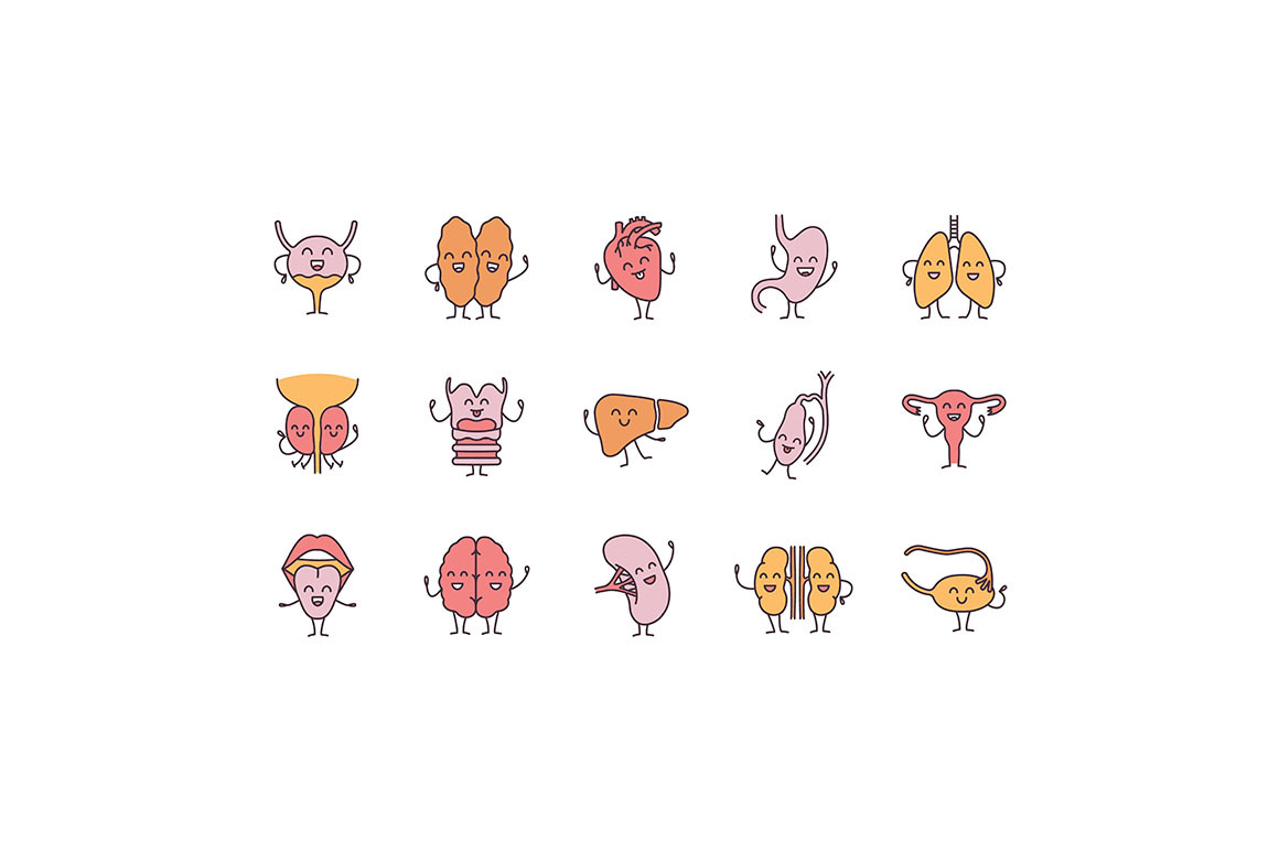 Smiling human internal organs icons, an Emoji Icon by bsd studio ...