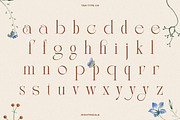 TAN - NIGHTINGALE, a Serif Font by TanType