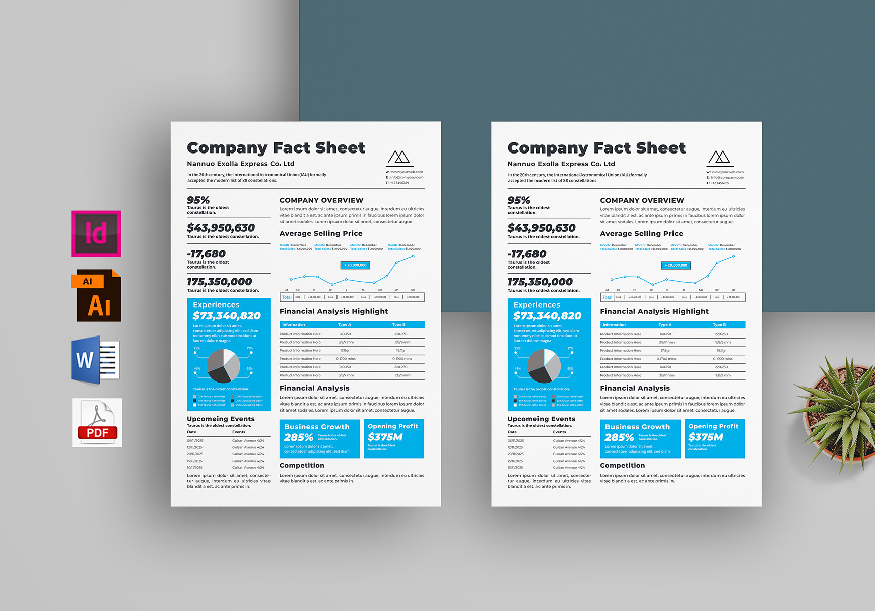 Company Fact Sheet | Word & Indesign, a Flyer Template by obayes