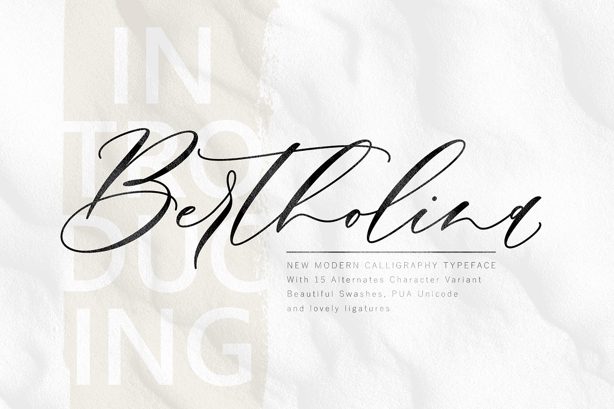 Bertholina Script, a Script Font by JamalCreativeStudio | Creative Market