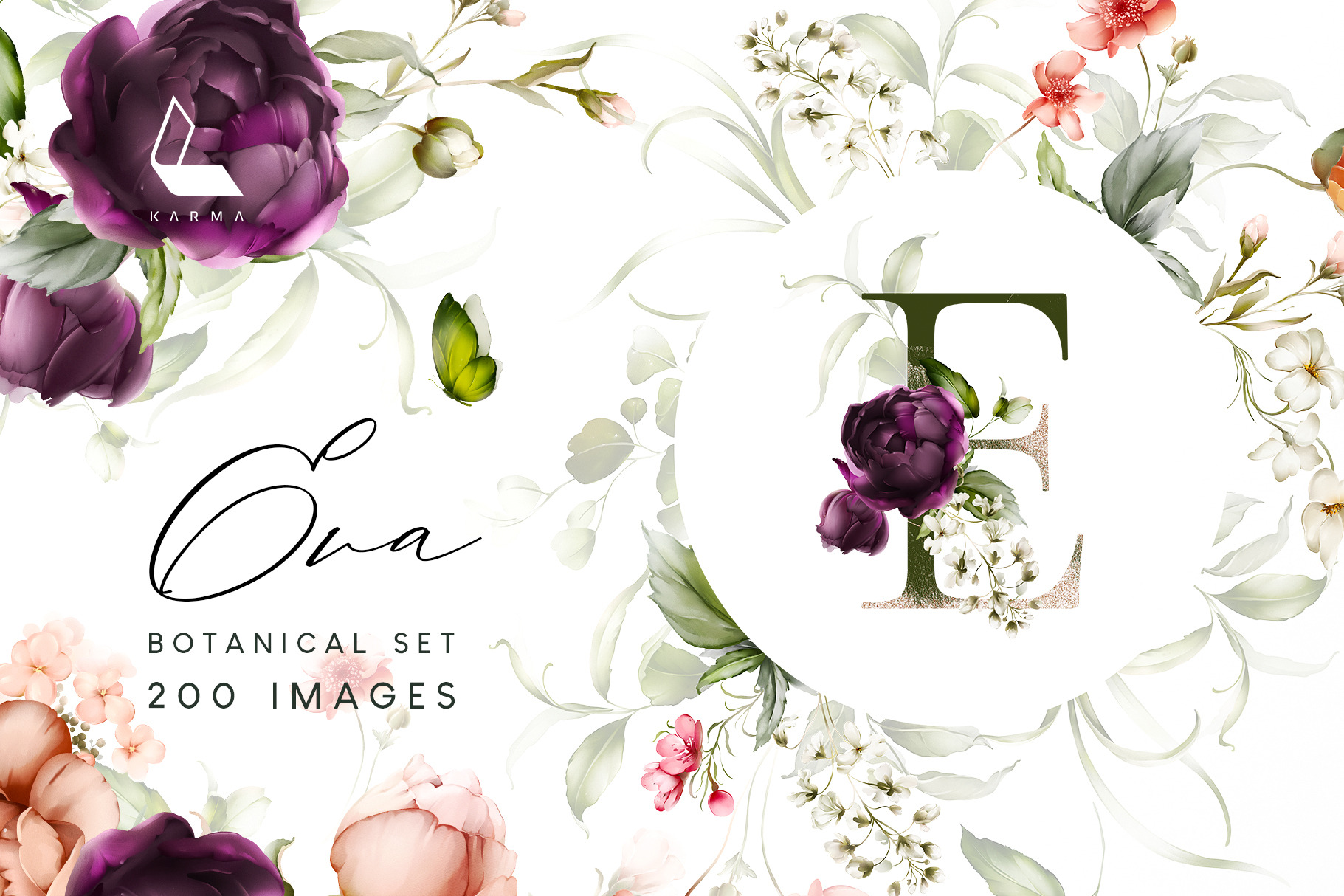 Eva Botanical PNG Set – 200+ Images