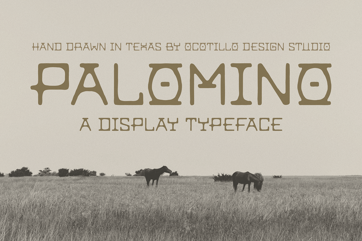 PALOMINO Display Font, a Sans Serif Font by Ocotillo Design Studio