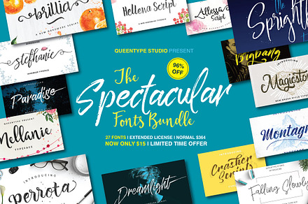 Painting Script + Bonus, a Script Font by QueenType