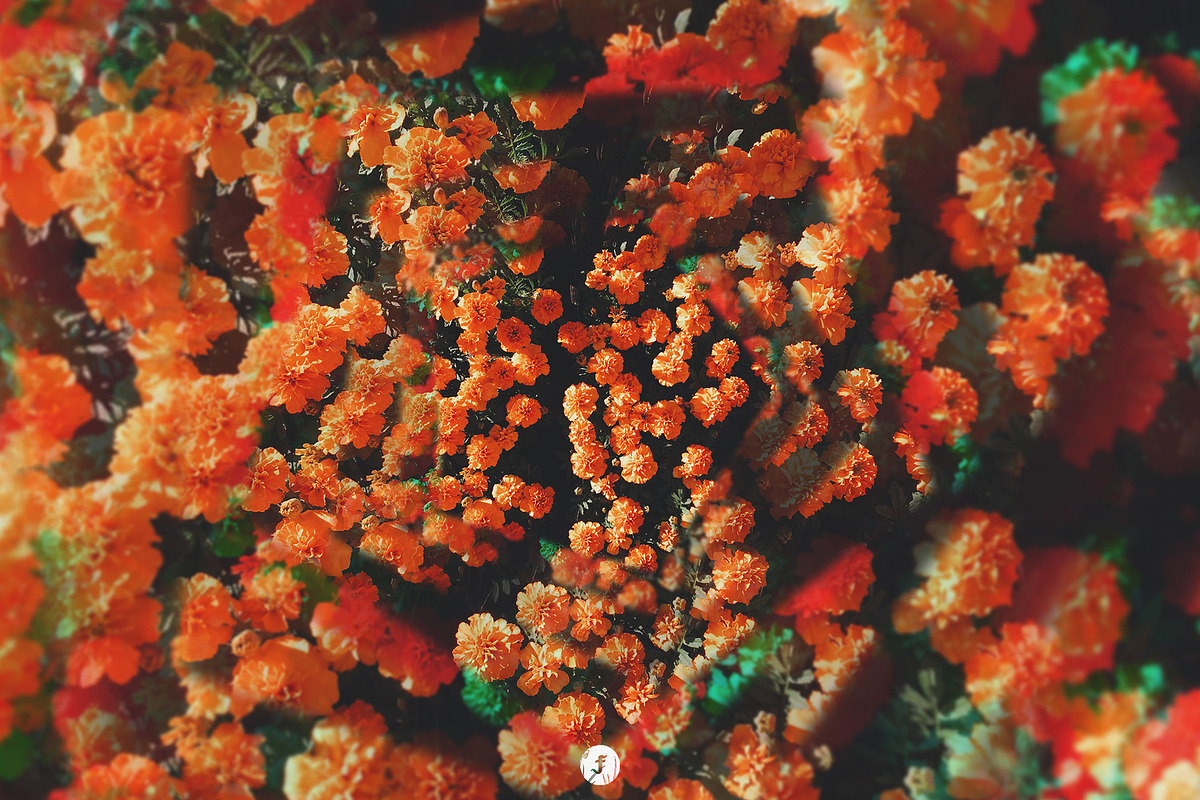 Endless Photo Effect, a Texture Graphic by Freezerondigital | Creative ...
