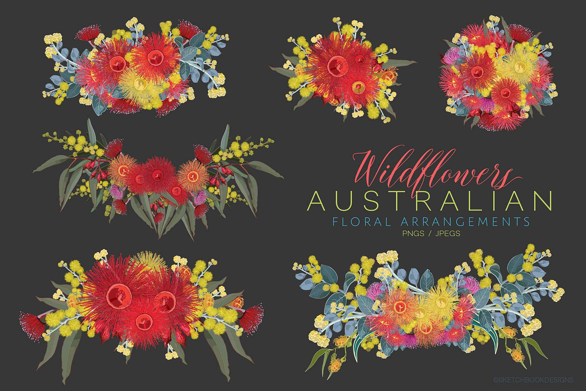 Wildflowers Australian Design Set, an Illustration by Sketchbook Designs