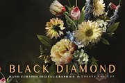 Black Diamond - Digital Graphics, an Illustration by Create The Cut