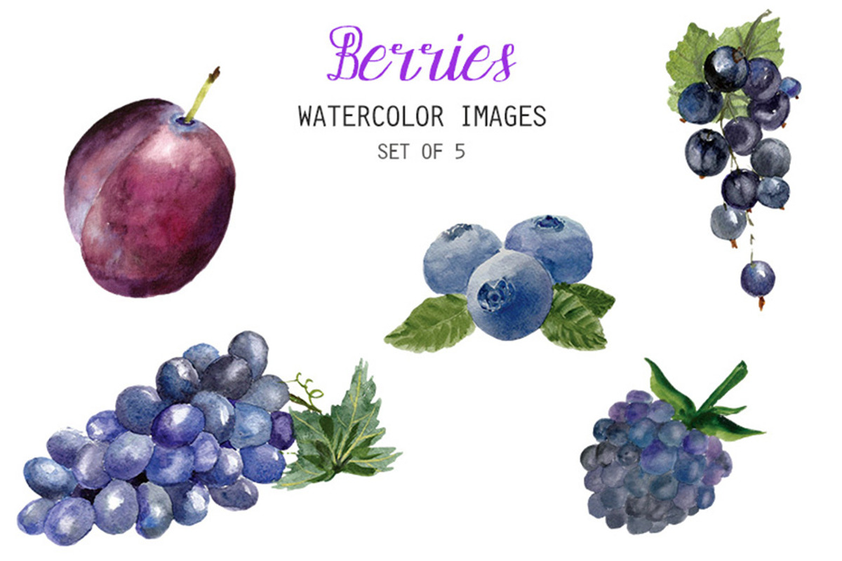 Watercolor Berries Clipart, an Illustration by YesFoxy