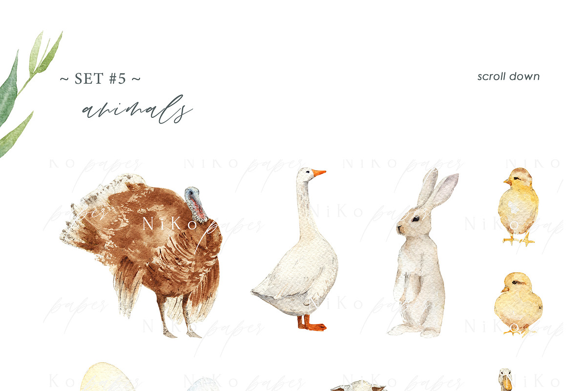 Watercolor Animals Clipart Set