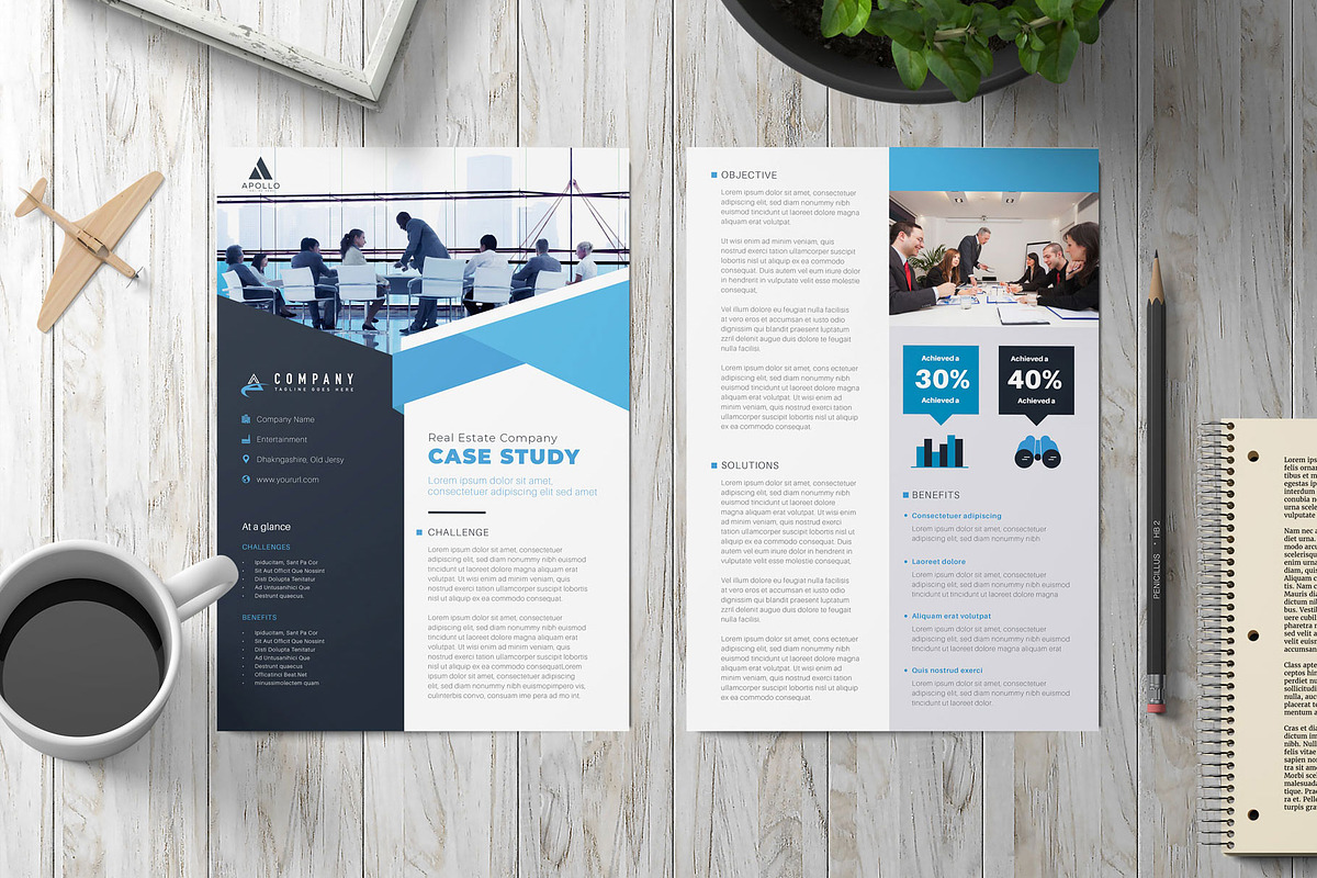 Case Study Flyer, a Flyer Template by Rongbaaz