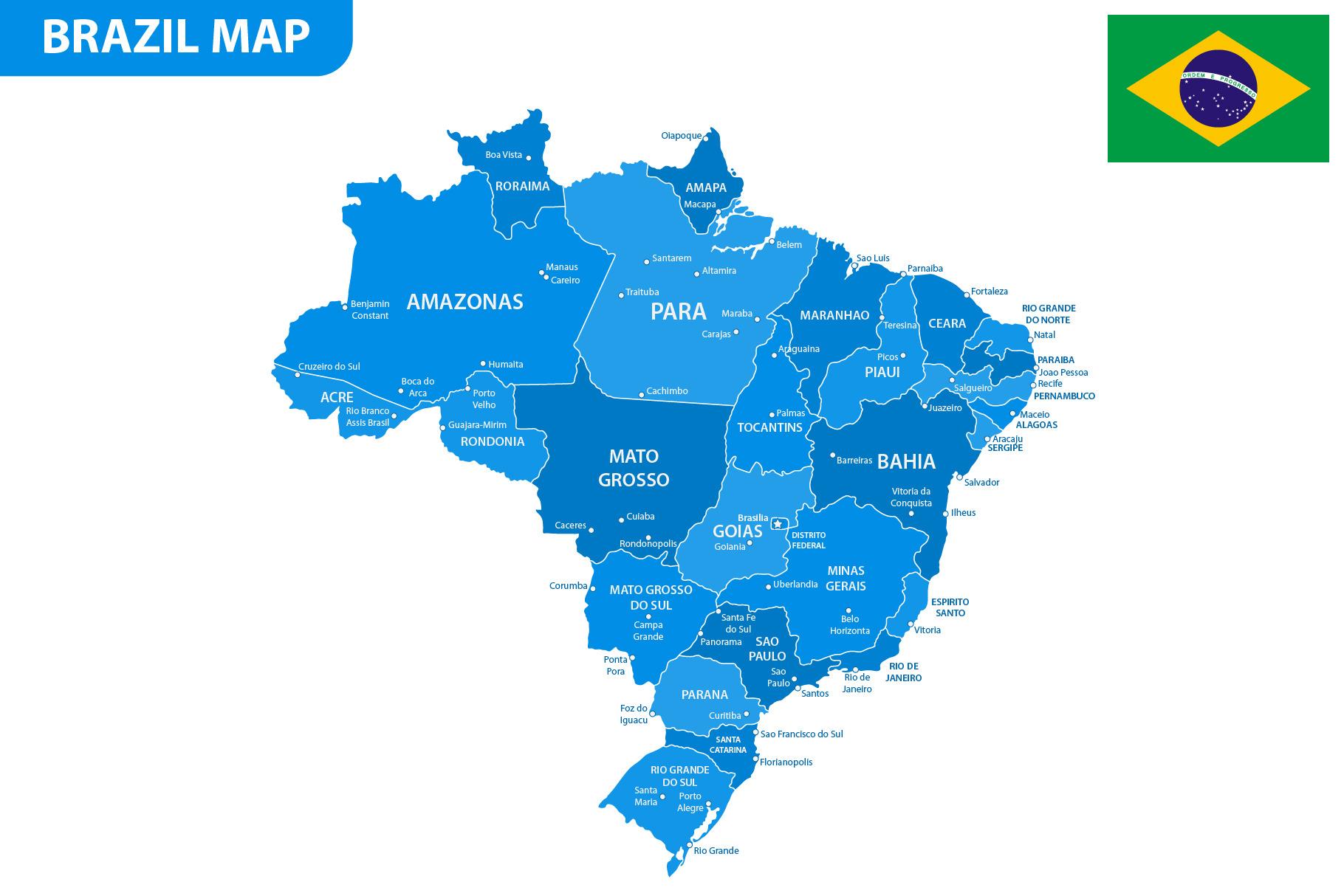 Detailed map of Brazil, an Illustration by Vector Shop