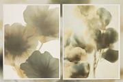 Faded Garden Soft Floral Backgrounds, a Background Graphic by ...