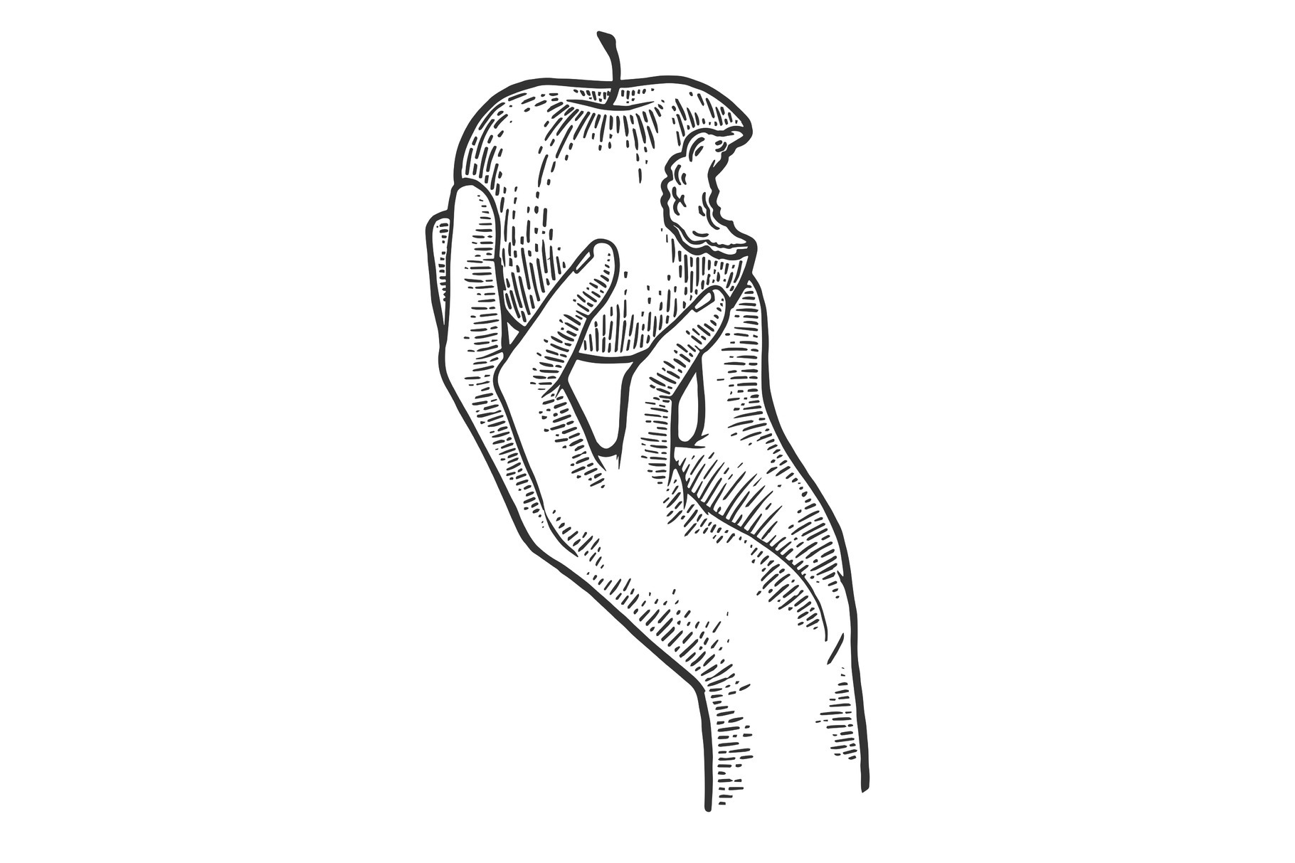 Bitten apple hand sketch engraving, a Food Illustration by AlexArt