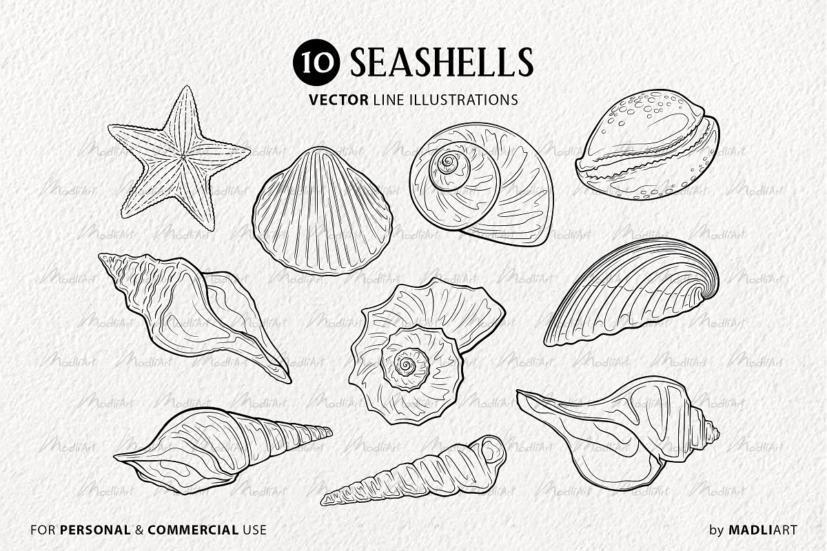 Seashell Vector Clipart Bundle, an Illustration by MadliArt
