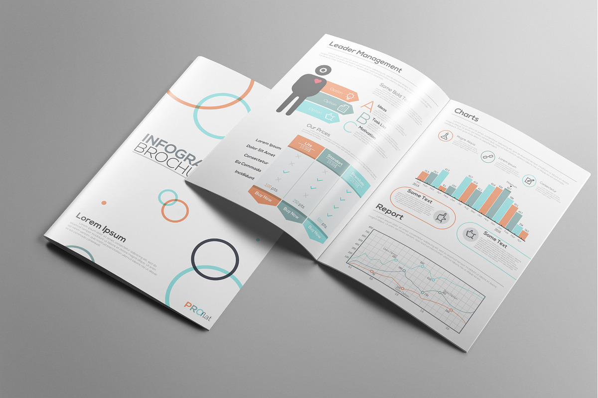 Pro Flat Infographic Brochures. P2, a Brochure Template by Andrew Kras ...