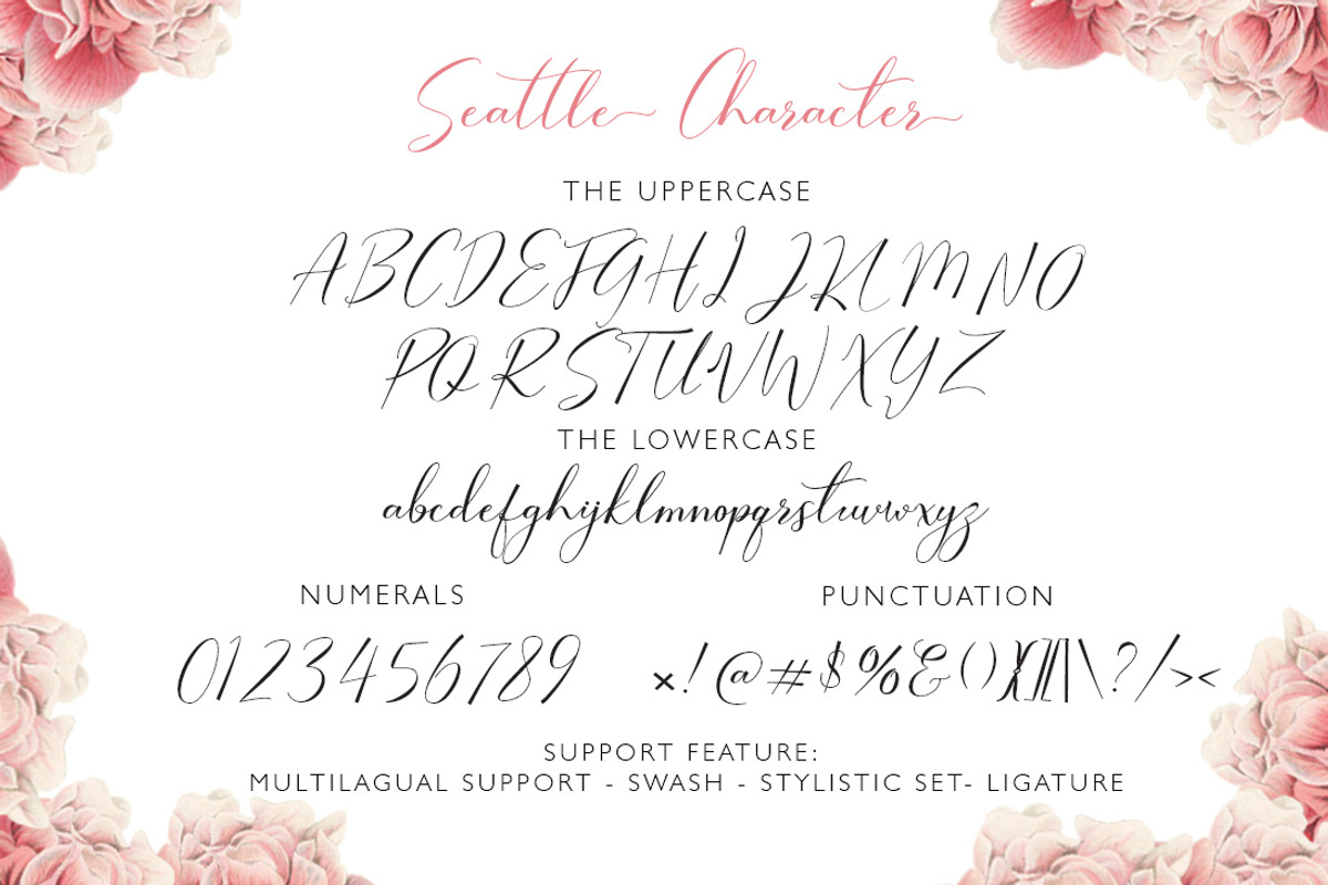 Seattle Script, a Font by Gatype