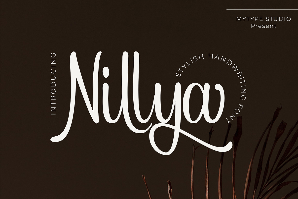Nillya - Handwriting Font, a Script Font by Mytype Studio | Creative Market
