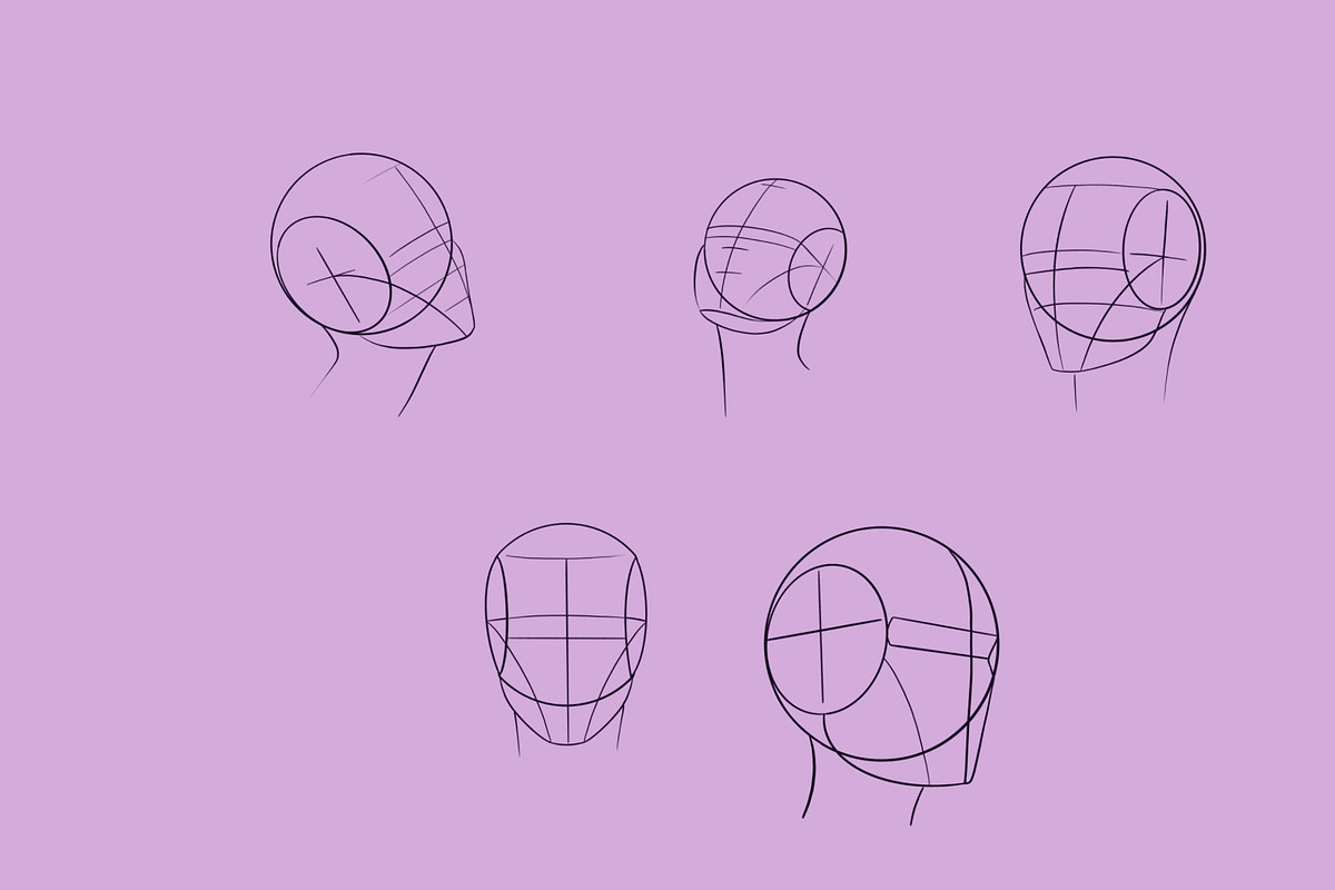 Procreate Head Proportions Guide, a Brush Add-On by HabitusDesigns
