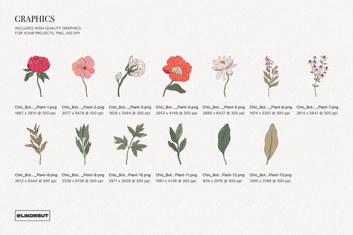Chic Botanical Pattern and Graphics, a Pattern Graphic by likorbut