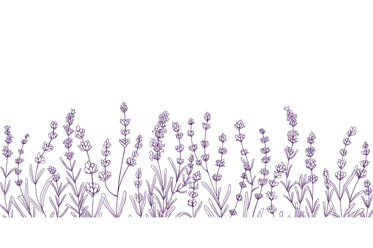 Lavender flower background borders, a Decorative Illustration by Good ...