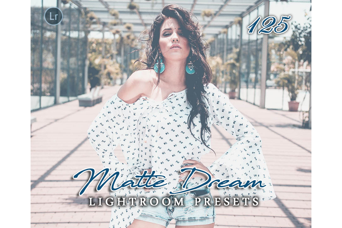 125 Matte Dream Lightroom Presets, a Preset Add-On by DreamColor