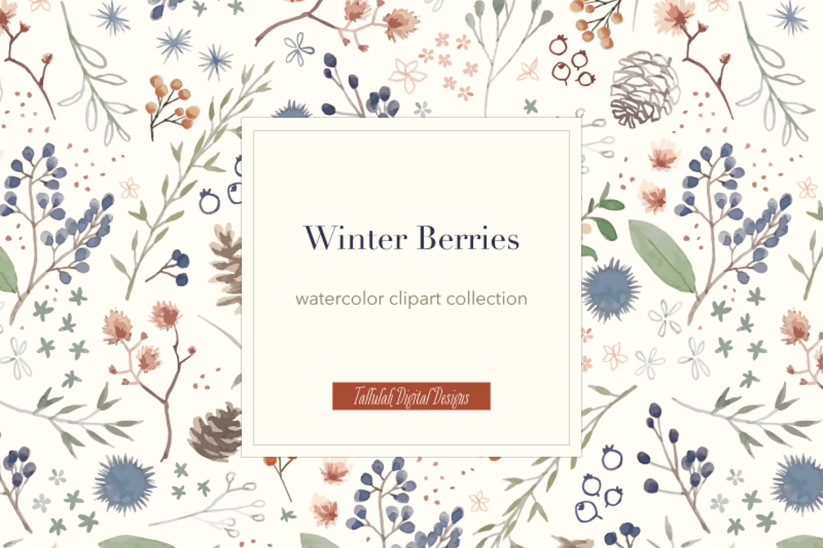 Winter Berries Clipart Collection, an Illustration by Tallulah Digital ...