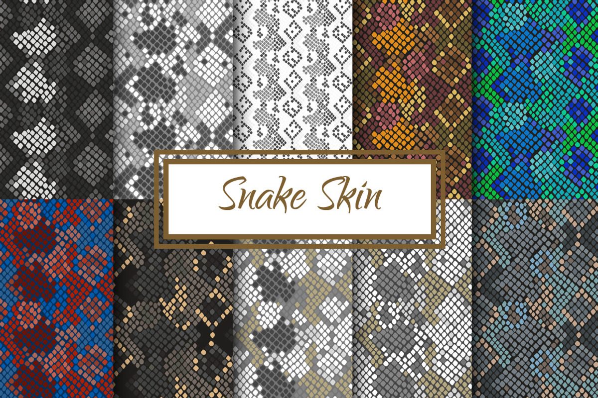 Snake Skin seamless pattern set, a Pattern Graphic by Milky April