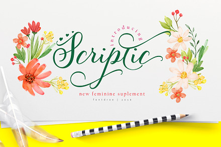 Scriptic Wilder, a Script Font by Fontdroe