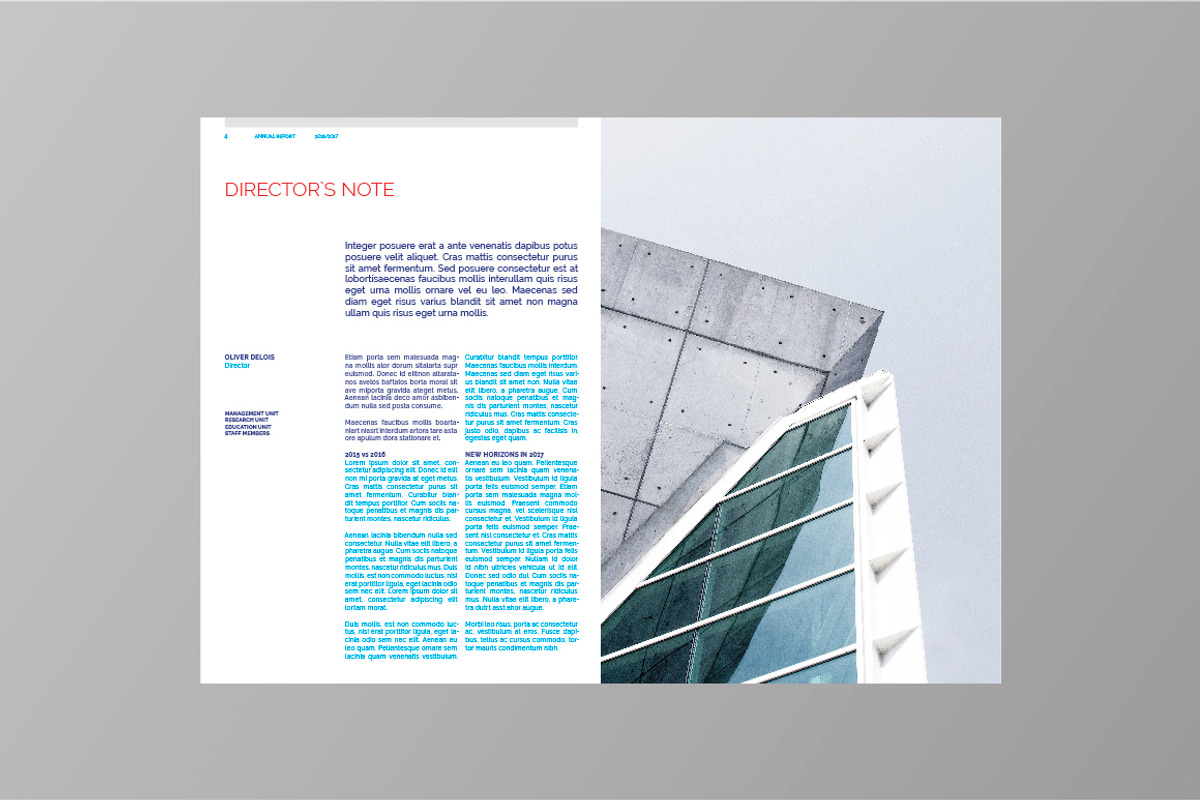 A4 Annual Report with INSERTS, a Brochure Template by dumitrasconiu.design