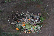 Pit Composting, an Abstract Photo by sirylok