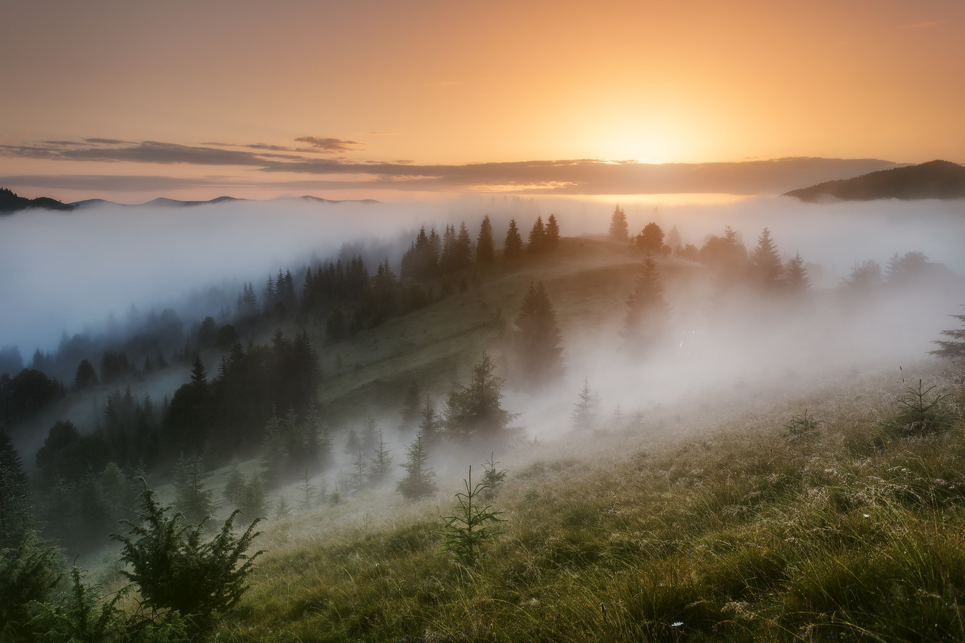 Morning fog web featuring background, beautiful, and beauty, a Nature ...
