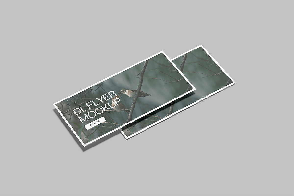 Landscape DL Flyer Mockup, a Print Template by Graphiculon