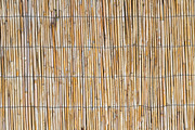 Texture containing reed, backgrounds, and pattern, an Abstract Photo by ...