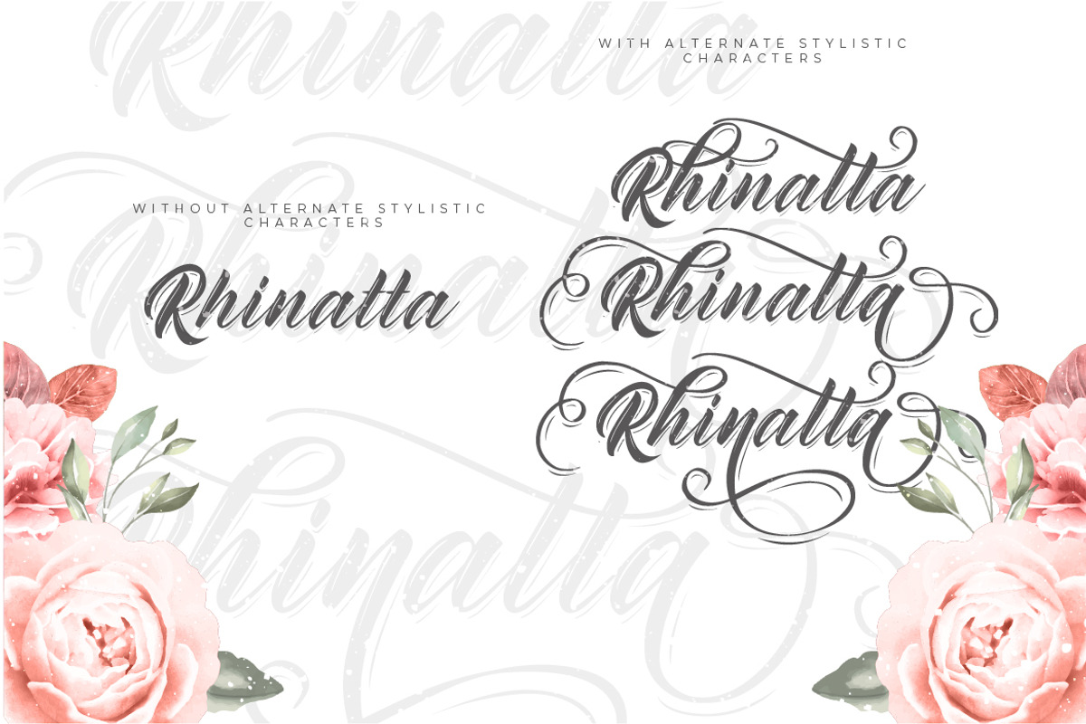 Rhinatta Script, a Script Font by Debut Studio