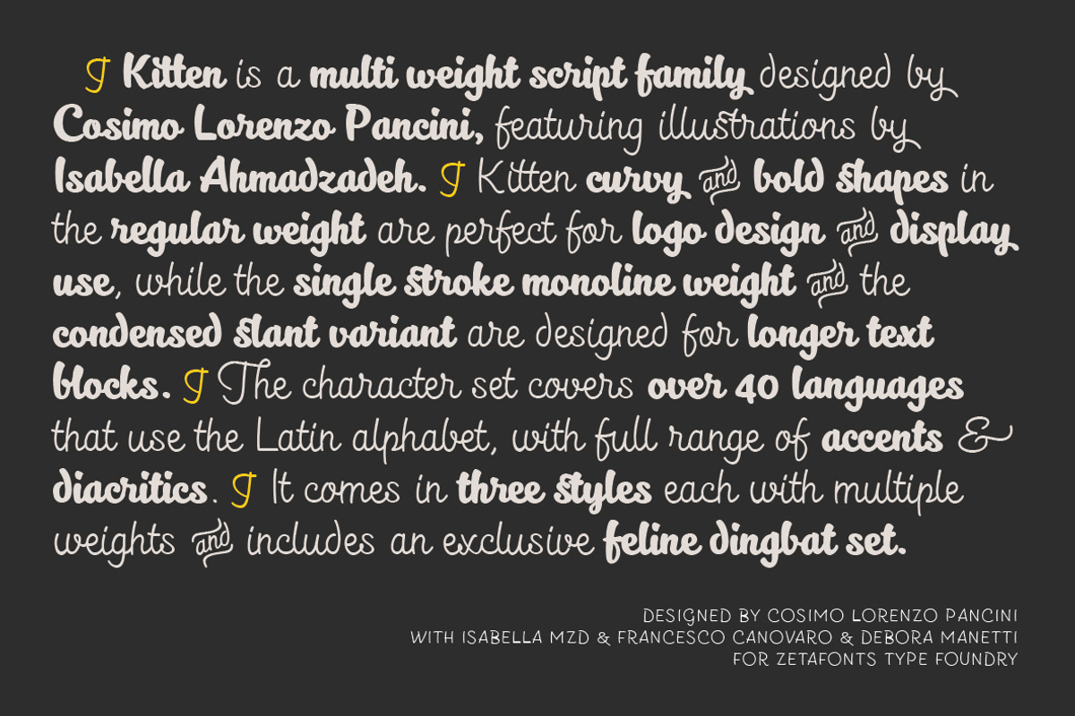 Kitten - 13 fonts, a Script Font by Zetafonts | Creative Market