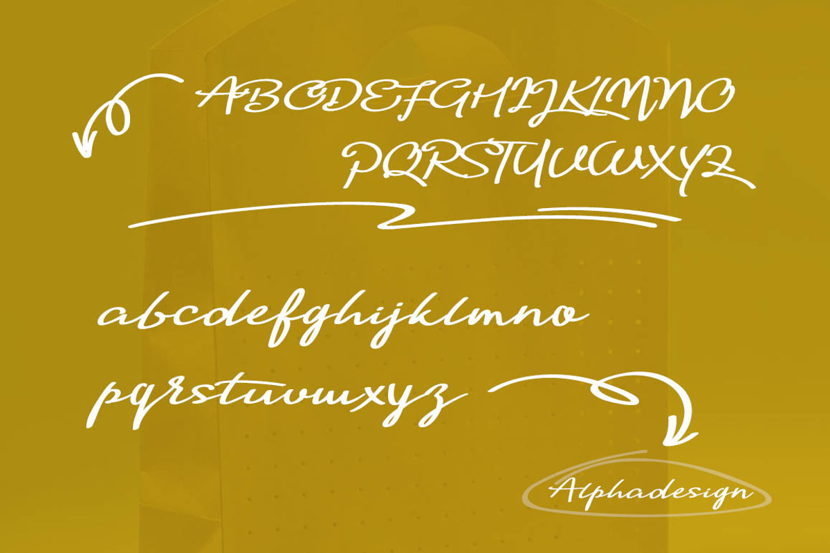 Quick Script Typeface, a Script Font by alphadesign