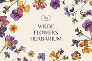 Wilde Flowers Herbarium Collection, an Object Graphic by Nova Studio ...