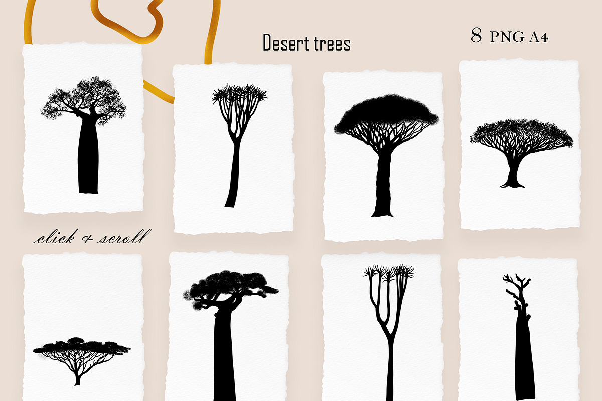 LINE ART COLLECTION COLORS OF DESERT