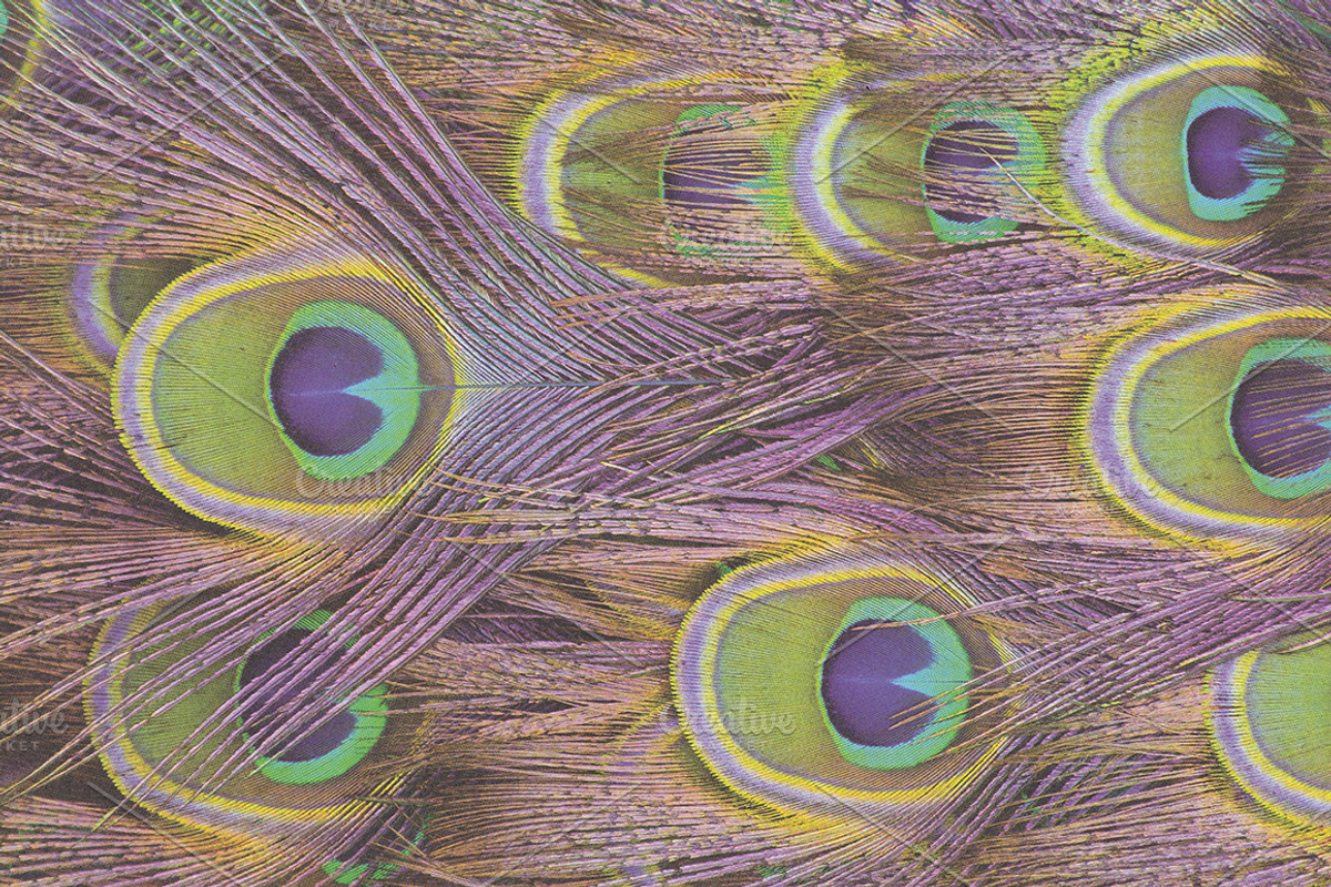 Feather Textures, a Texture Graphic by Blue Line Design
