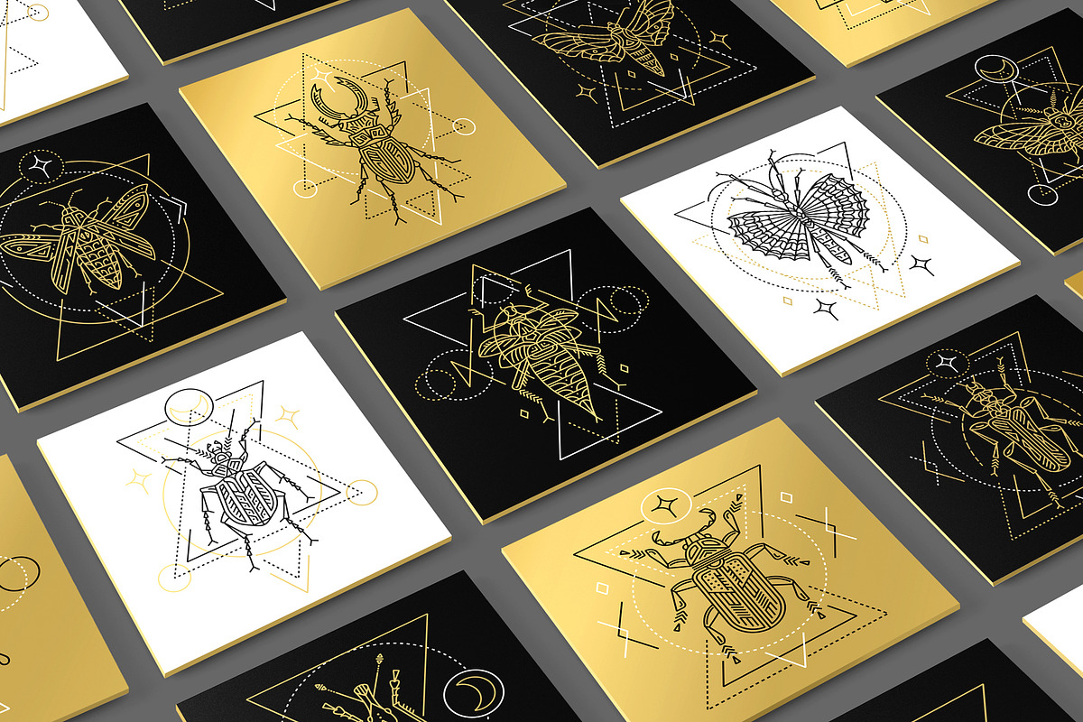 16 Insect symbols and 4 Patterns, an Outline Icon by Anna Smirnova