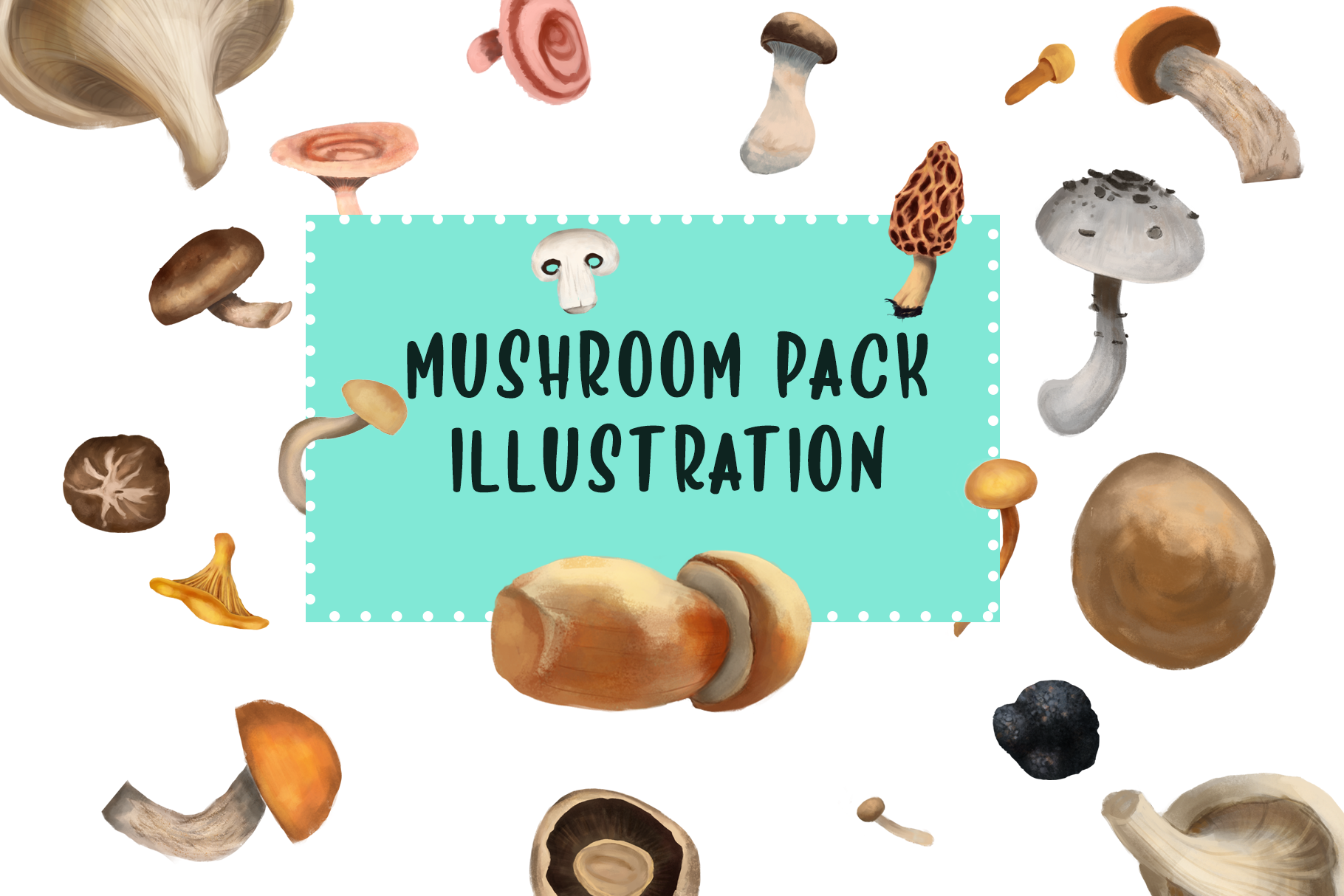 Mushroom Illustration Pack, a Decorative Illustration by InfernalTulip