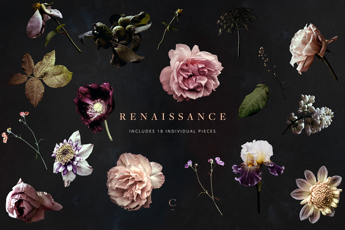 Vintage Floral Clip Art: Renaissance, an Illustration by Create The Cut