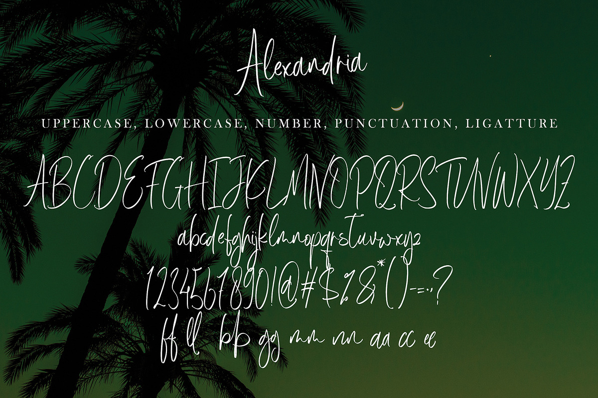 Alexandria, a Script Font by pineungtype