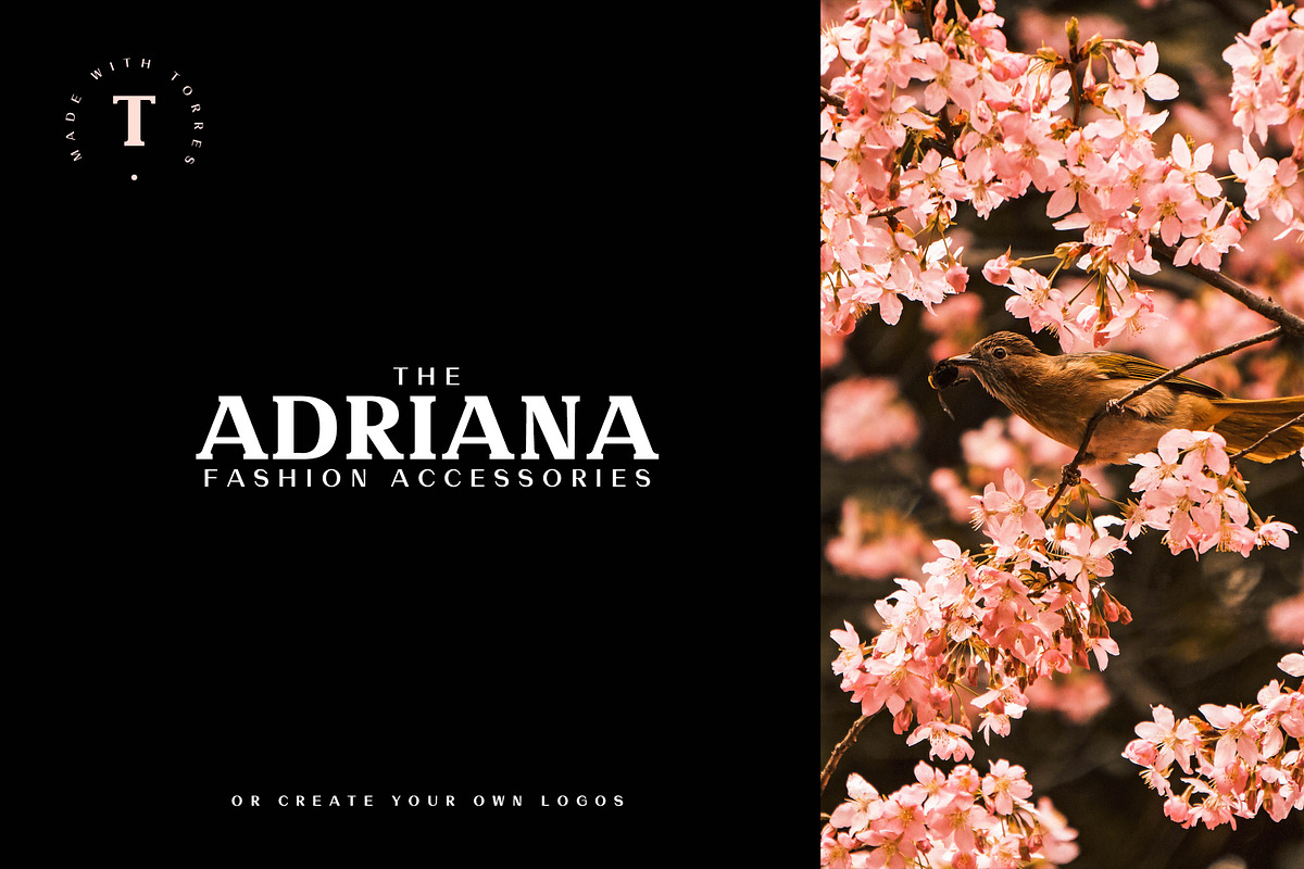 Torres Font Family, a Serif Font by AndrewPixel | Creative Market