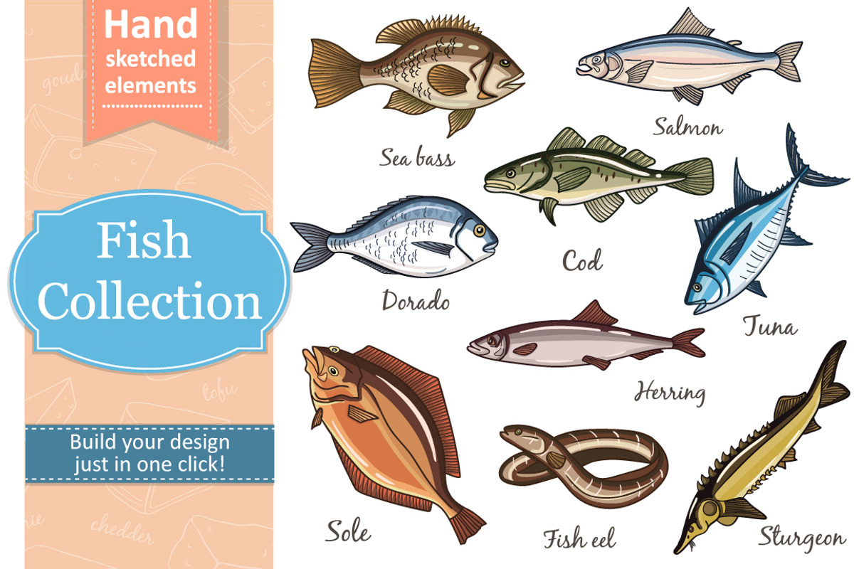 Fish Collection and patterns, an Object Graphic by Tatti Graphic Studio