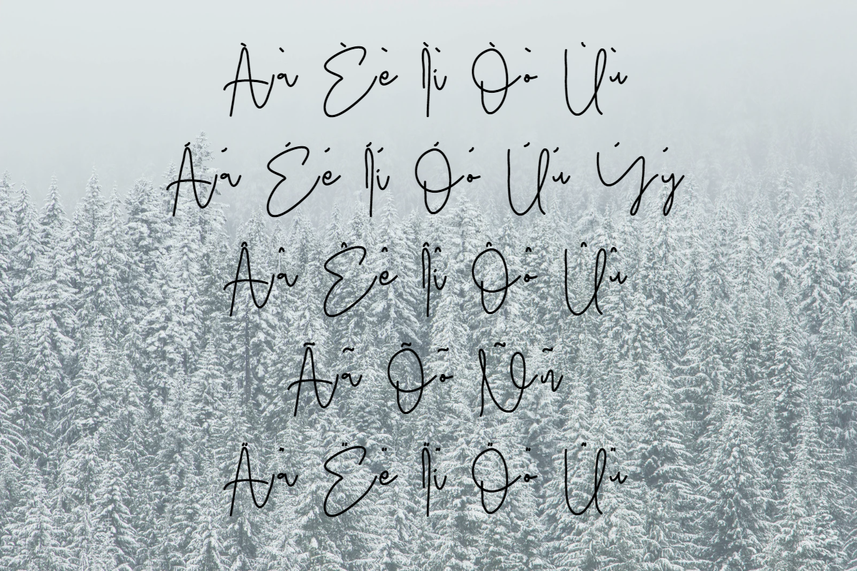 Sung-Jin font, a Script Font by TNE Designs | Creative Market